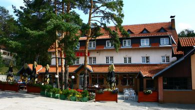 Hotel Royal Mountain Dičibare, luksuzan smeštaj Divčibare
